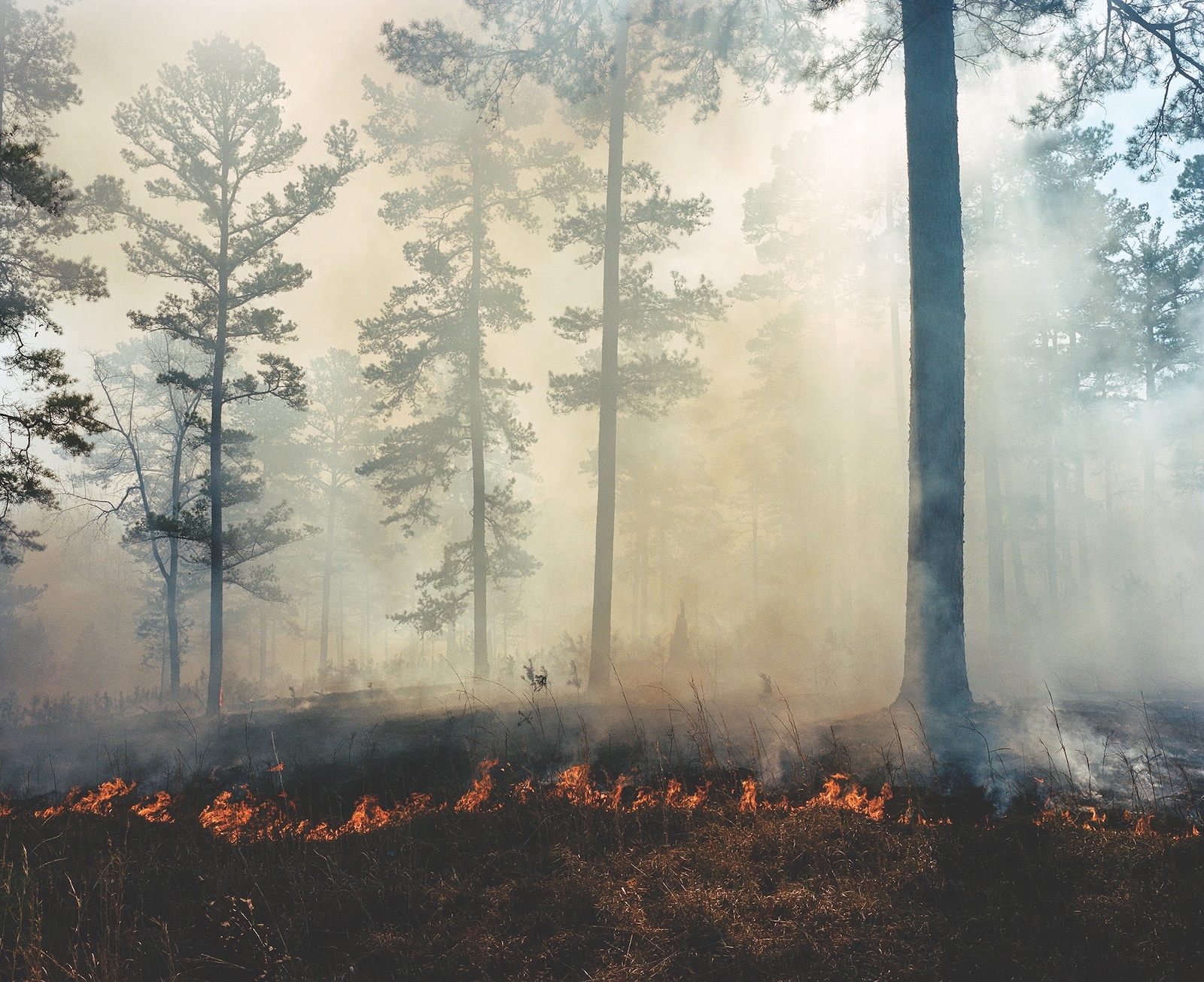 Snapshot: Climate // Lesson Plans - Southern Cultures