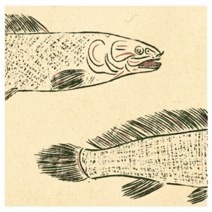 Mudfish - Southern Cultures