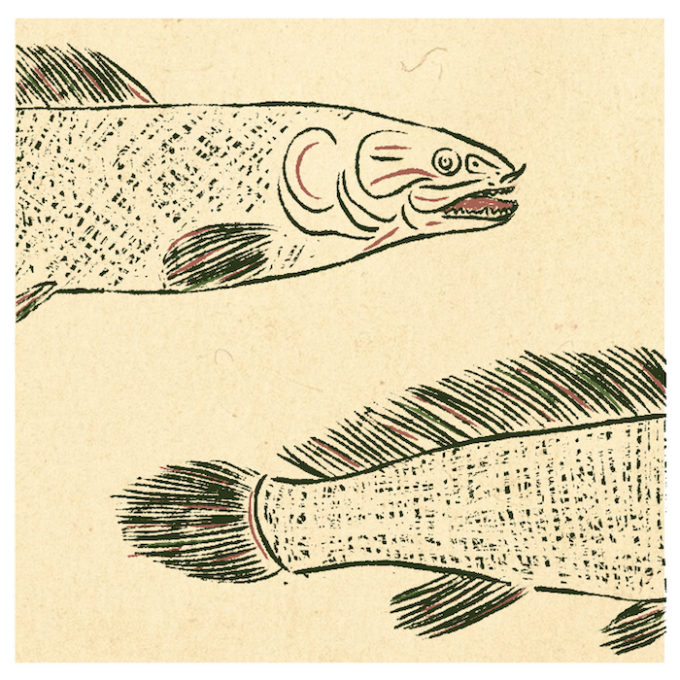 Mudfish - Southern Cultures