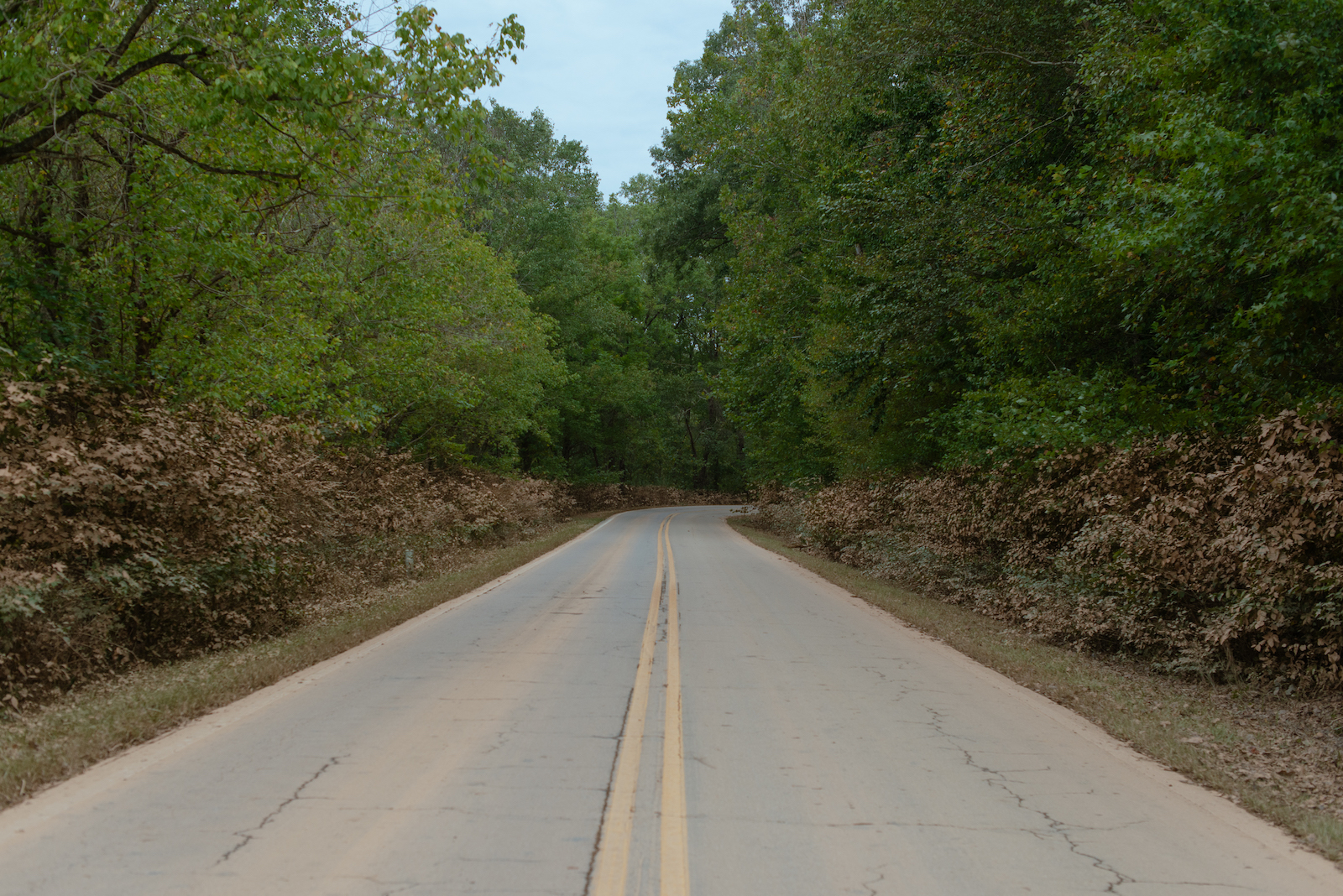 Southern Cultures - Center for the study of the American South