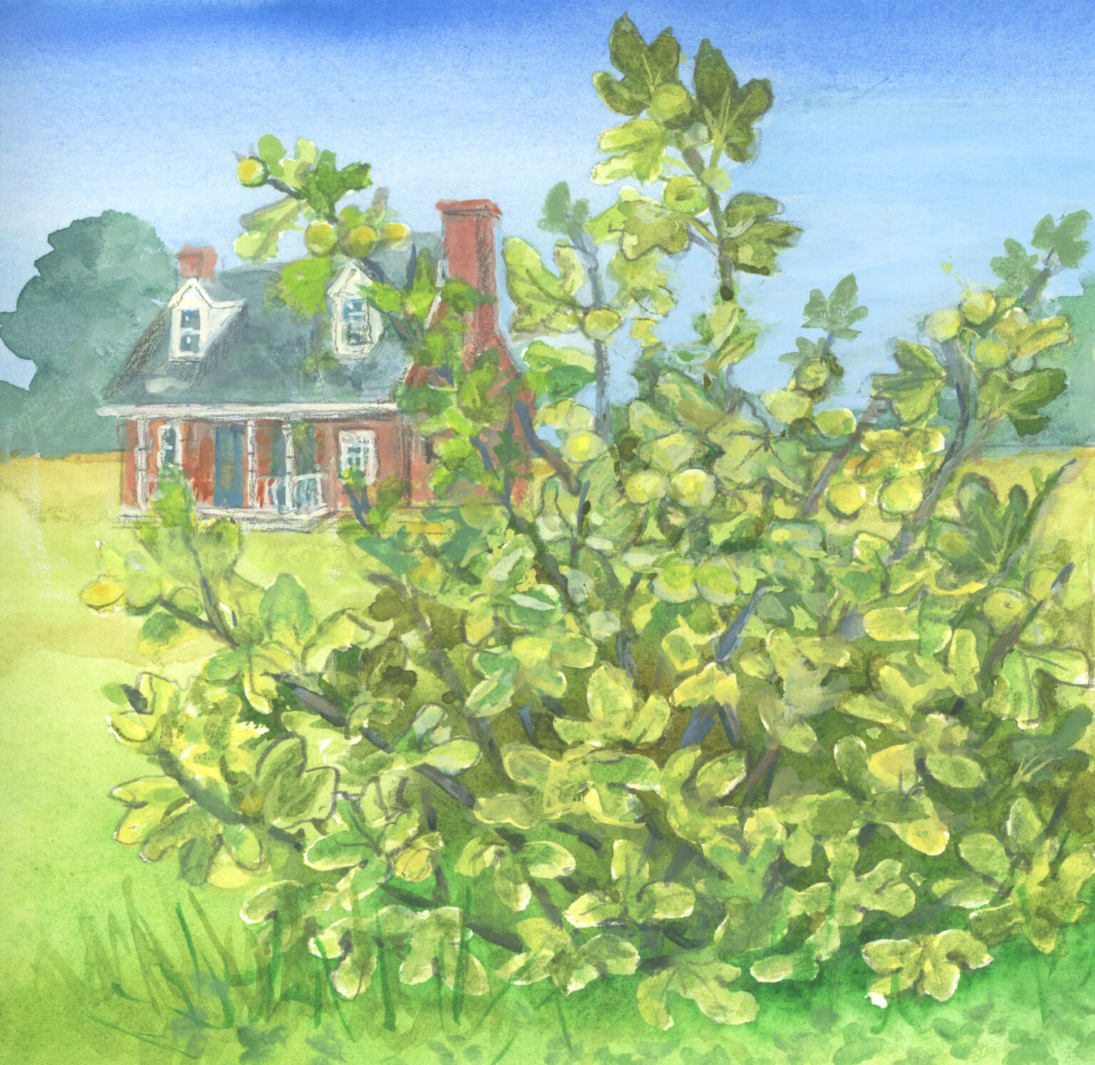Lessons from a Fig Library - Southern Cultures